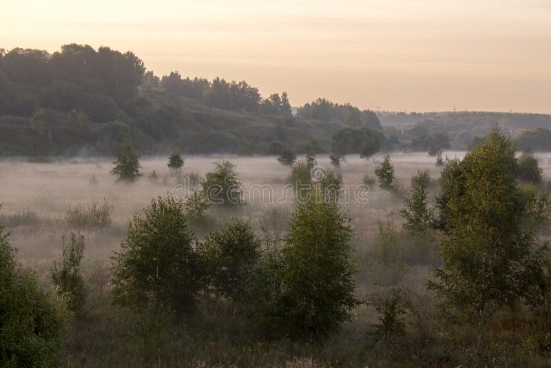 A Picturesque Valley at Dawn Stock Image - Image of tree, scenics: 71181071