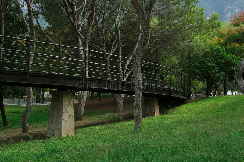 Picturesque View of Bridge with Metal Railing and Many Trees in Park ...
