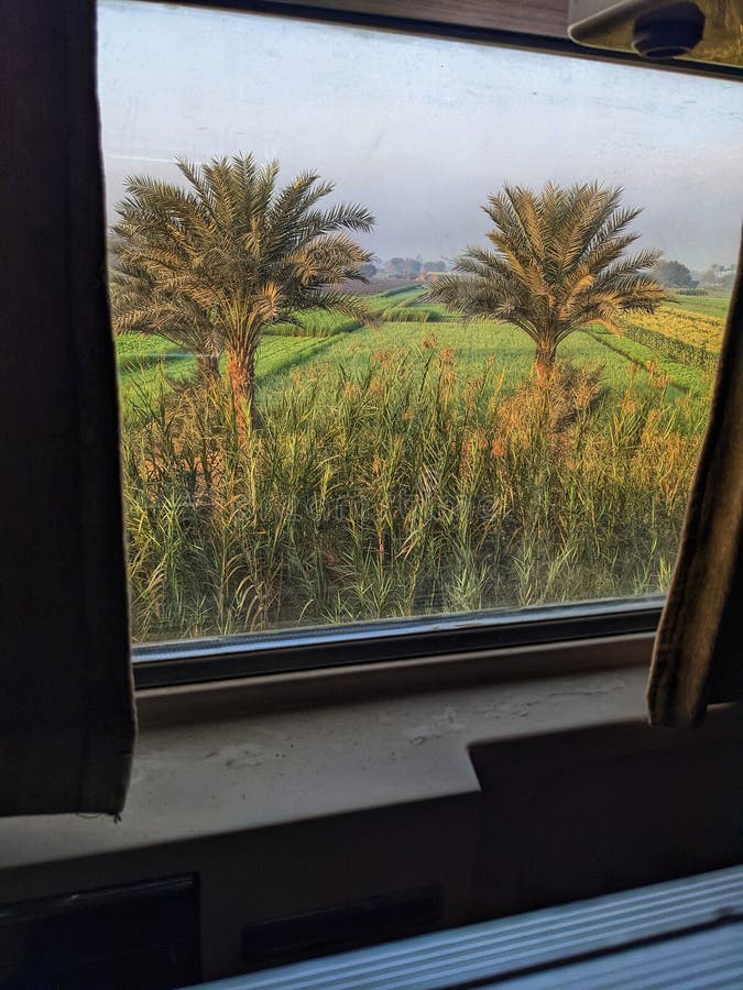 View from Sleeper Train Window in Egypt Stock Image - Image of journey ...
