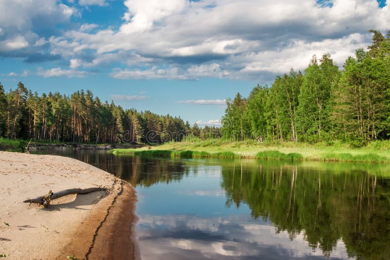 Picturesque View of the Sandy Beach of a Quiet Forest River Stock Image ...