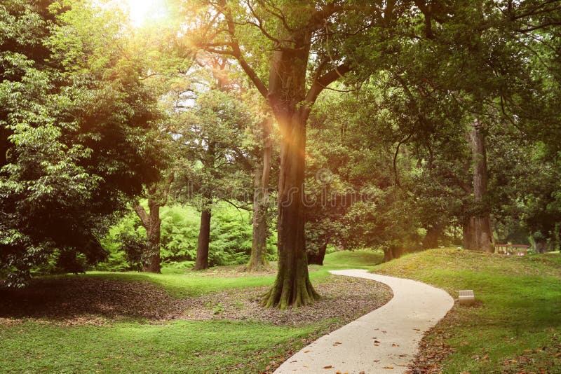 Picturesque View of Tranquil Park with Paved Pathway Stock Image ...