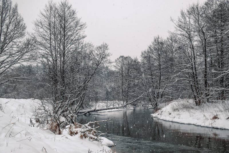 Picturesque Winter Forest River Stock Image - Image of water, branch ...