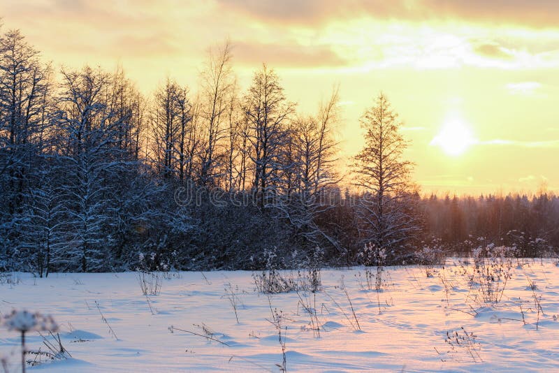 Evening winter landscape. stock photo. Image of evening - 111951978