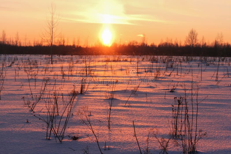 Pink Sunset Light on the Snow. Stock Photo - Image of beautiful, golden ...