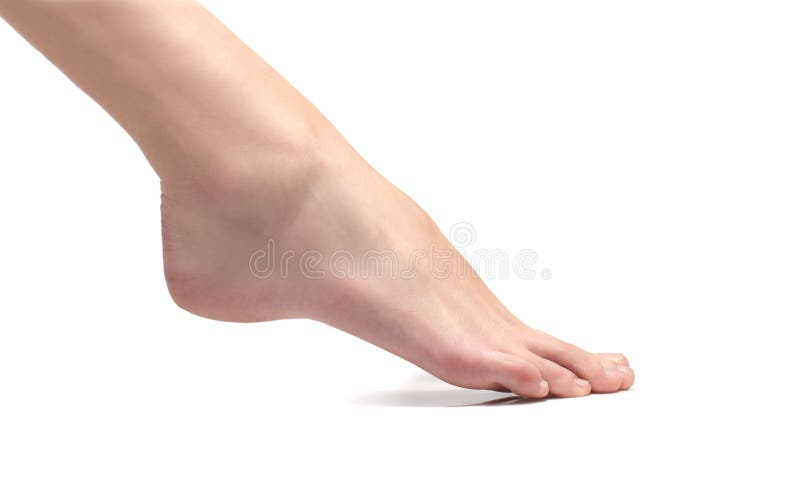 Pie imagen de archivo. Imagen de pies, aislado, primer - 22961239