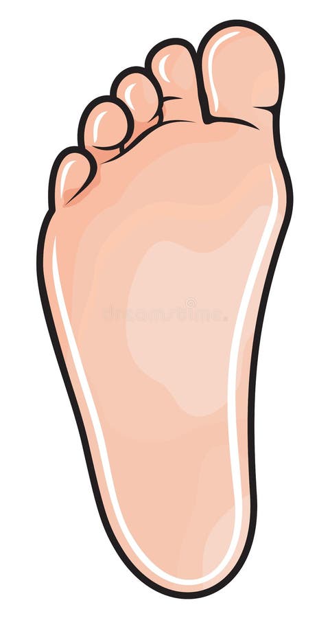 Pie Ilustraciones Stock, Vectores, Y Clipart – (279,240 Ilustraciones ...