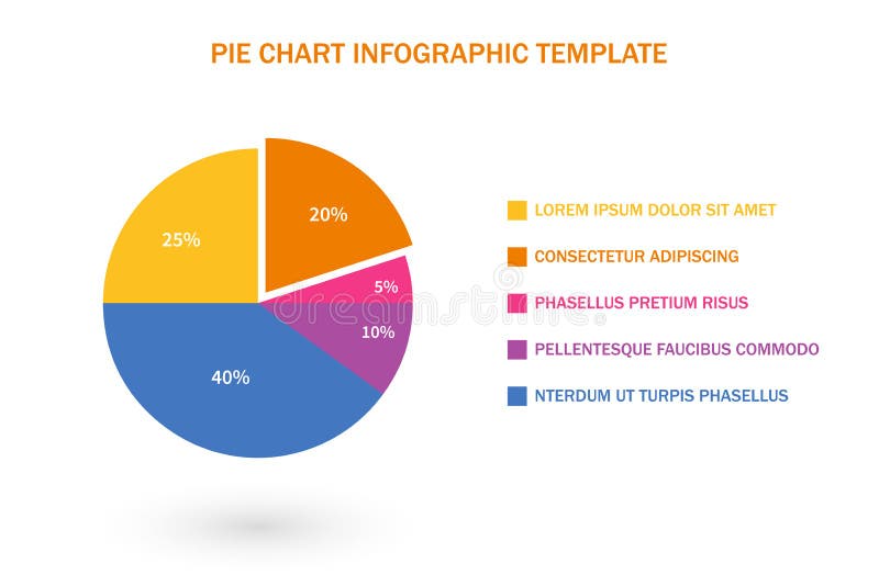 Pie Chart Infographic Template. Business Infographic Template ...