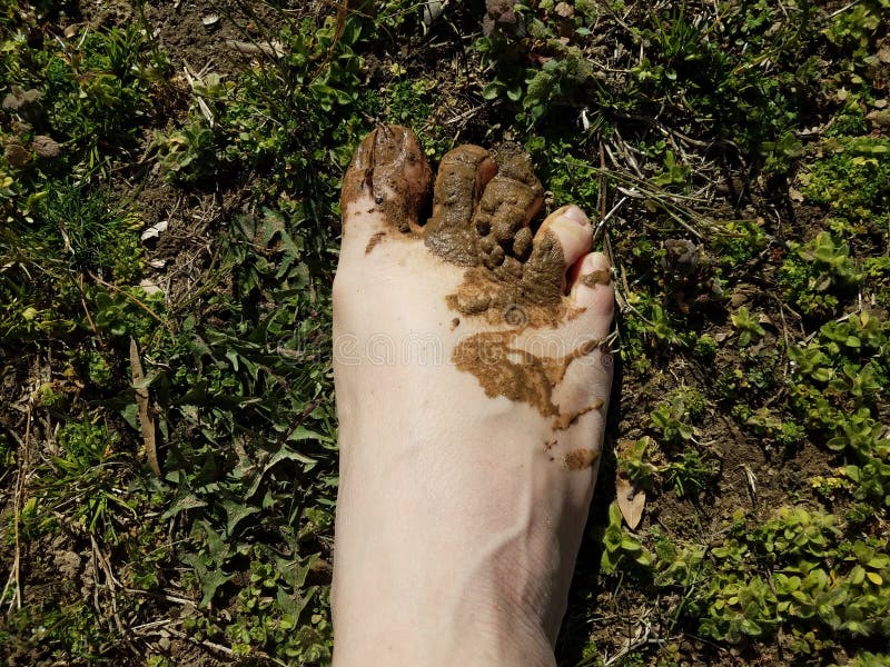 Pie Que Pisa Barro O Caca En Hierba Foto de archivo - Imagen de fango ...