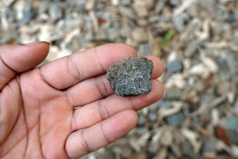 A Piece of Andesite Extrusive Volcanic Rock in a Hand. Stock Photo ...