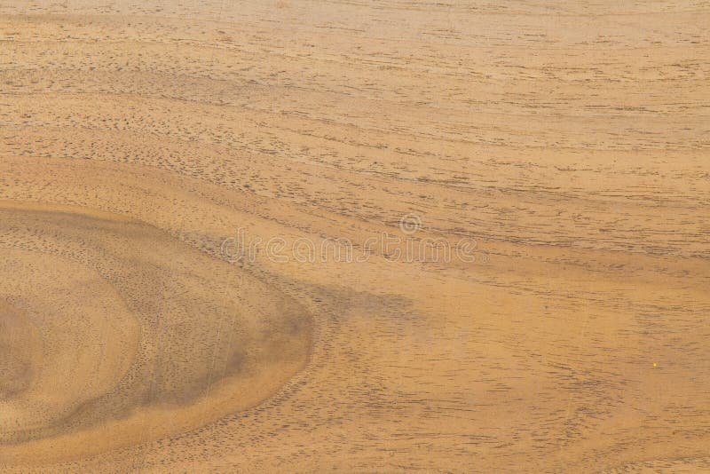 Piece of Beige Colored Wood Stock Image - Image of timber, trees: 88853485