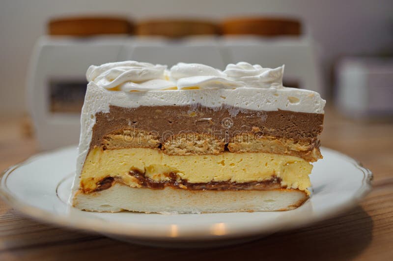 Piece of bingo cake stock image. Image of gourmet, baked - 262507029