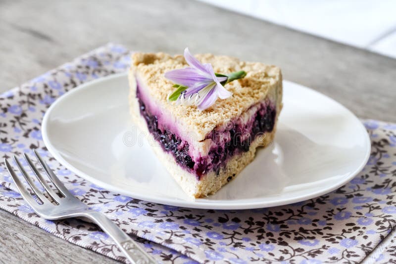 Piece of Blueberry Cake on a Plate Stock Image - Image of pastry ...