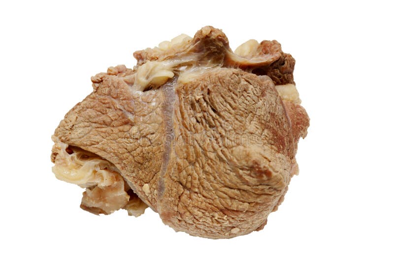 Piece of boiled beef stock photo. Image of chunk, dish - 63391576