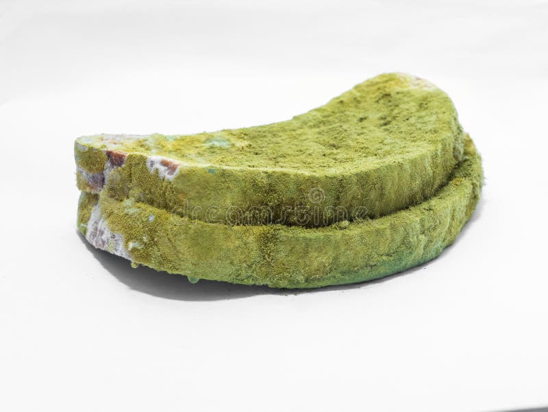 A Piece of Bread Covered with Green Mold on a White Background Isolate ...