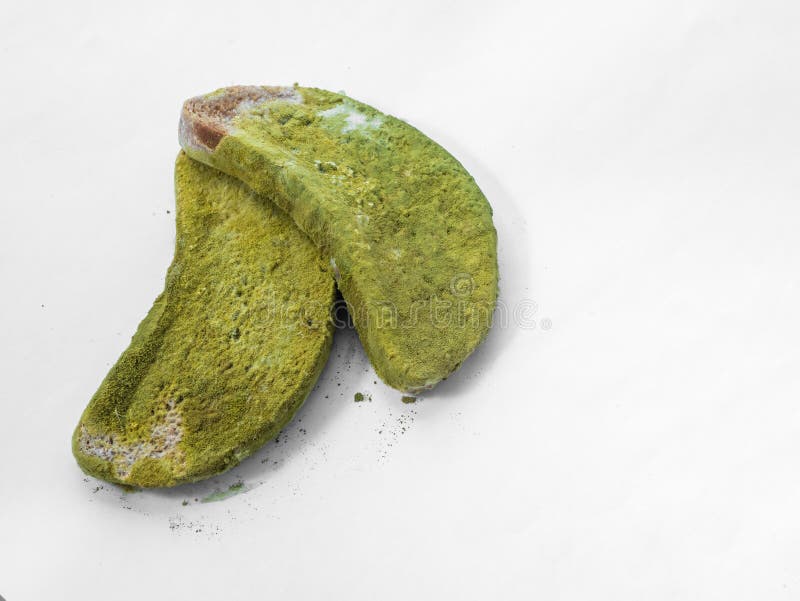 A Piece of Bread Covered with Green Mold on a White Background Isolate ...