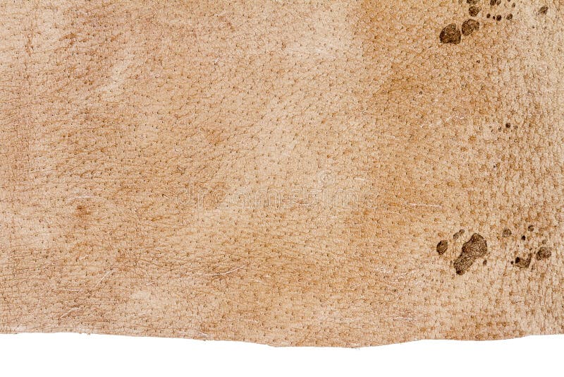 Piece of Brown Leather, Back Side Stock Photo - Image of clothing ...
