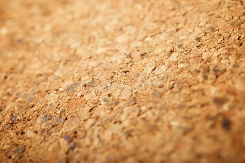 Piece of cork stock image. Image of cork, beige, blank - 212432195