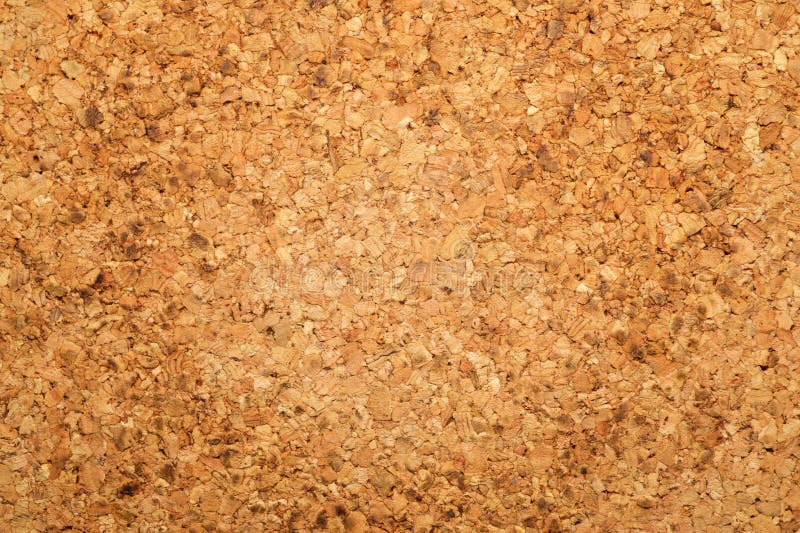 Piece of cork stock image. Image of environment, rough - 212432207