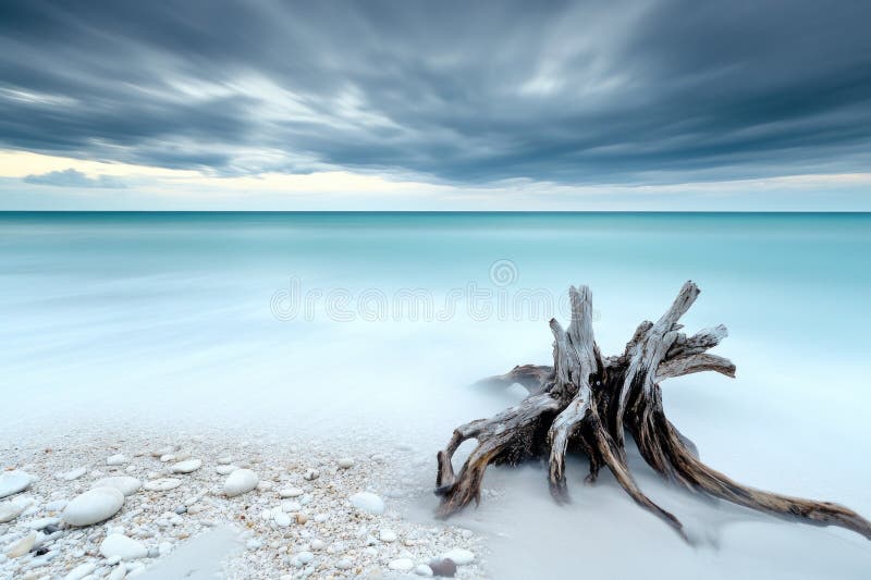 A Piece of Driftwood Washed Up on a Sandy Beach with the Ocean Waves in ...