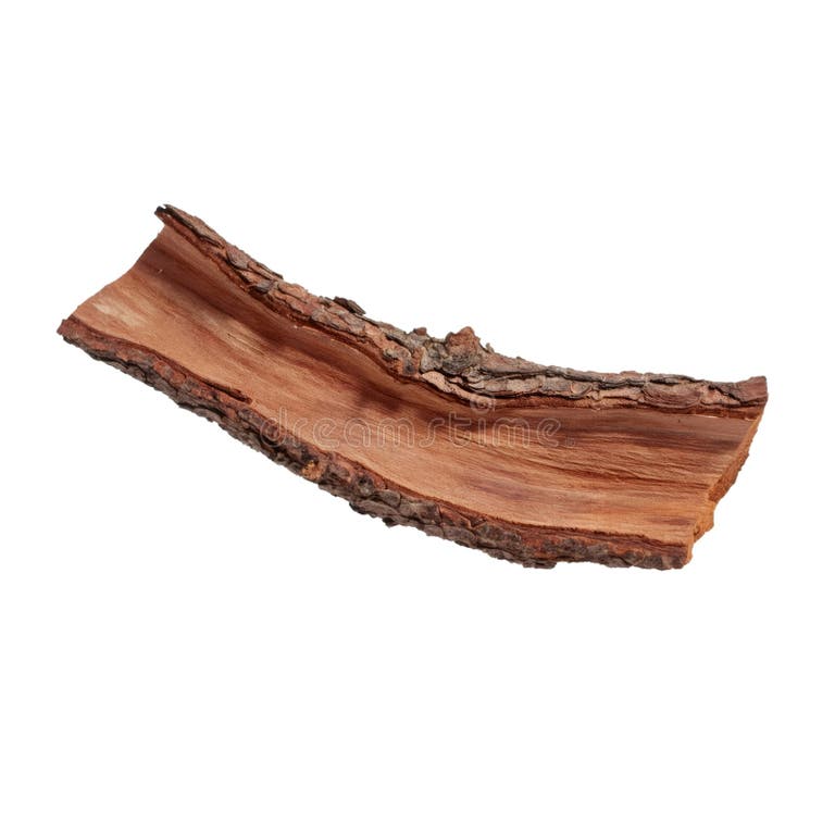 Piece of Dry Cedar Bark with Textured Surface, Isolated on Transparent ...