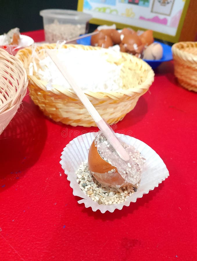 A Piece of Eggshell Filled with White Sand, Sealed with Tape, and a ...