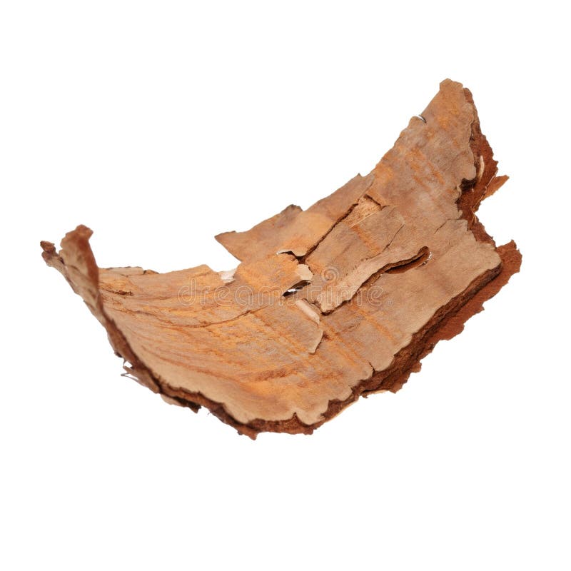 Piece of Flaky Tree Bark Isolated on Transparent Background with ...