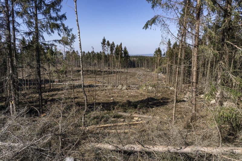 Clear Cutting stock image. Image of deforestation, hillside - 28697481