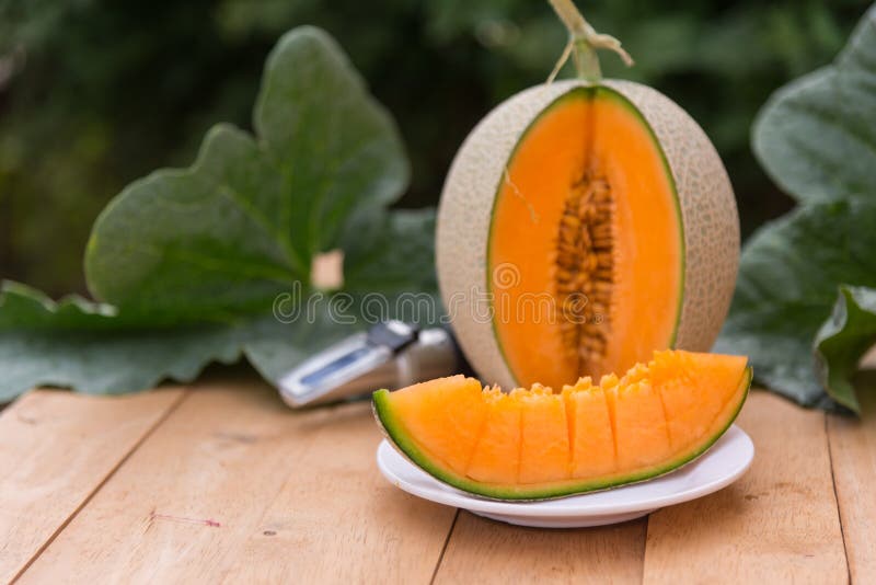 Piece of Fresh Orange Melon on the Plate Stock Photo - Image of ...