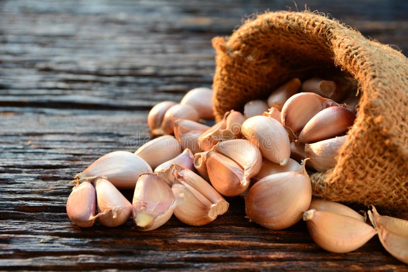 Piece of Garlic for Healthy and Cooking in Mini Sack and Put on Stock ...