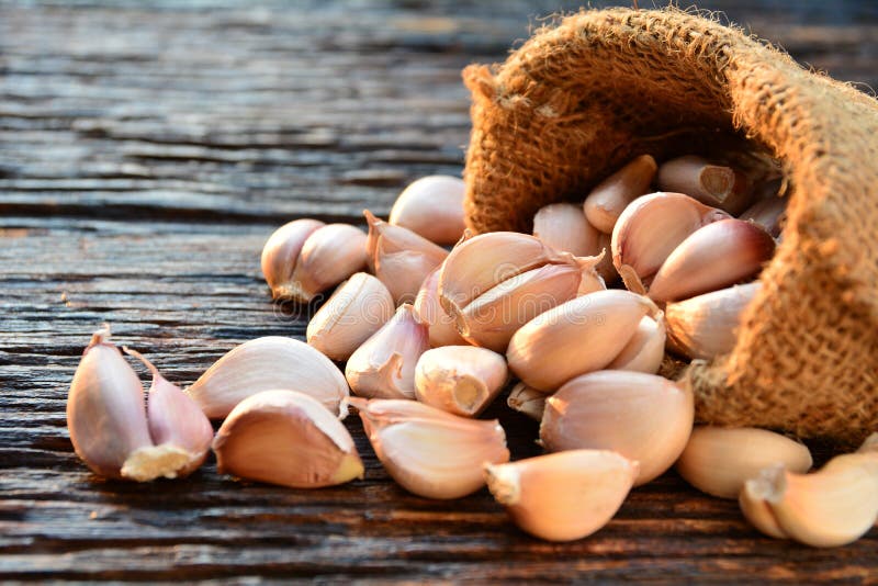 Piece of Garlic for Healthy and Cooking in Mini Sack and Put on Stock ...