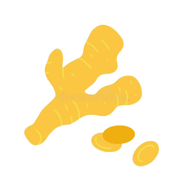 Ginger Root Cartoon Isolated Stock Illustrations – 535 Ginger Root ...