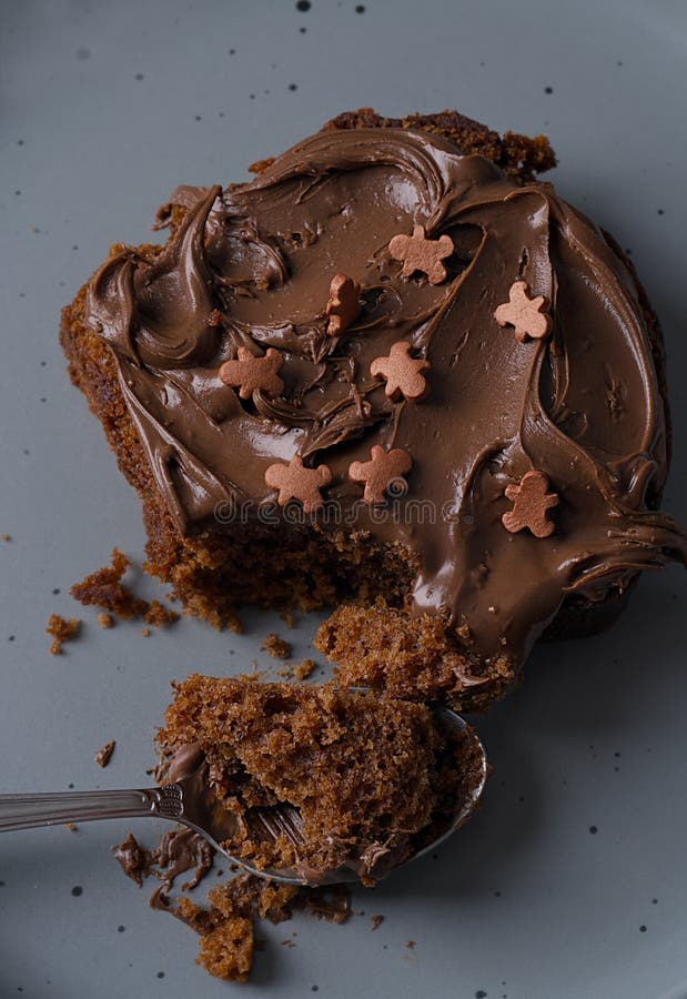 Gingerbread Cookie with Melted Chocolate Stock Image - Image of brown ...