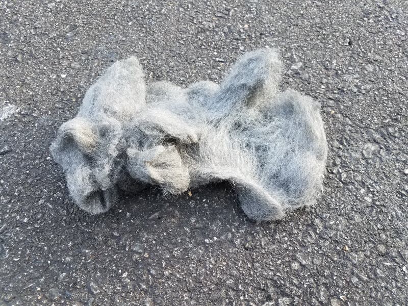 Piece of Grey Steel Wool on Asphalt or Pavement Stock Photo - Image of ...
