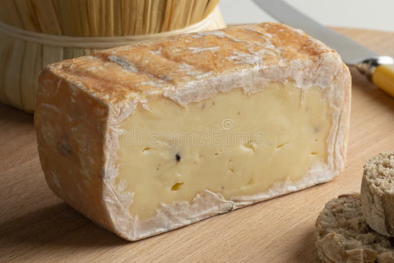 Piece of Italian Taleggio with Tuber on a Cutting Board Close Up Stock ...