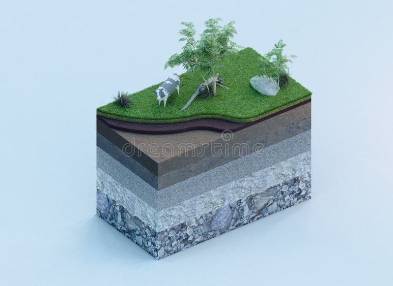 Piece of Land with Ground Layers Realistic Vegetation and Cattle Stock ...