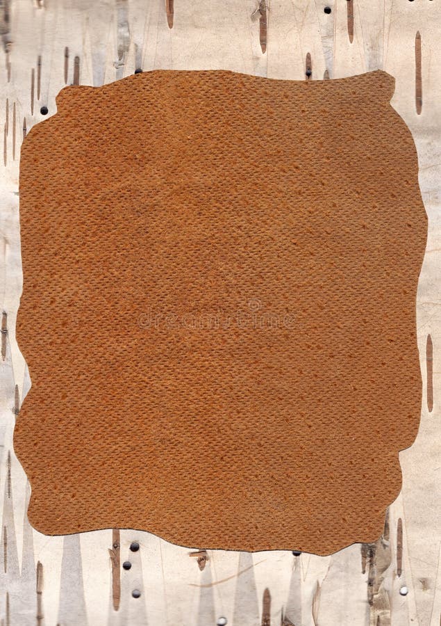 Piece of Leather on the Birch Bark Background Stock Photo - Image of ...