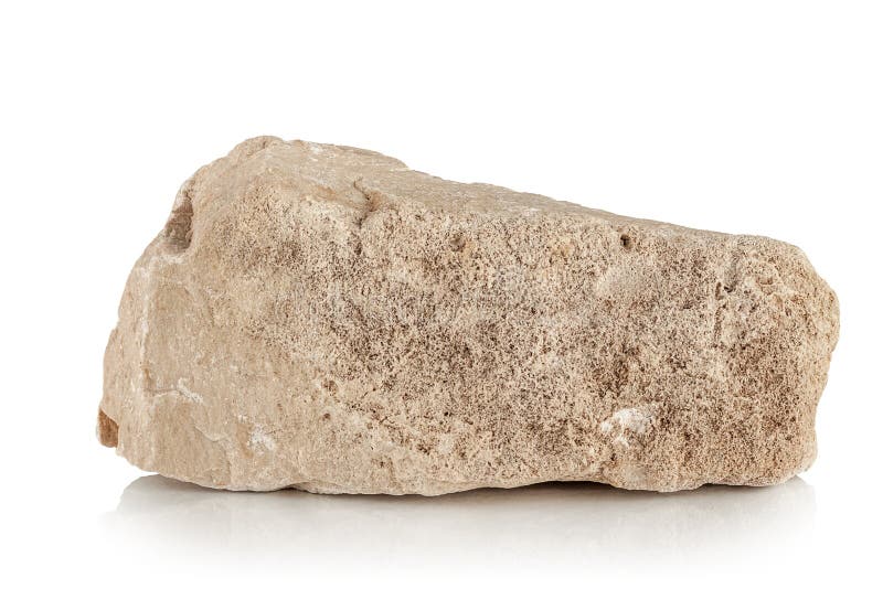 A piece of limestone stock photo. Image of geological - 194018836