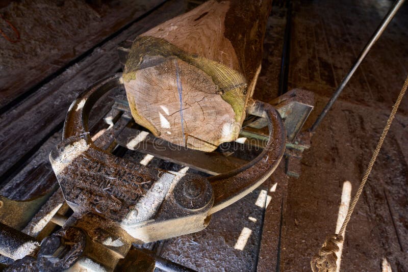 Piece of a Log in an Old Sawmill Stock Photo - Image of sawdust ...