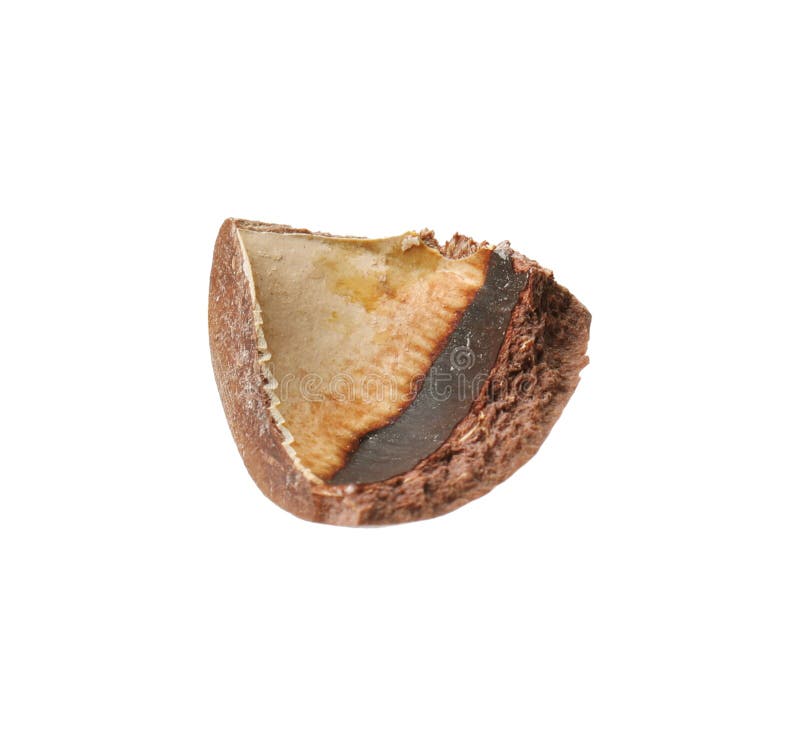 Macadamia Nut Shell on White Background Stock Photo - Image of cracked ...