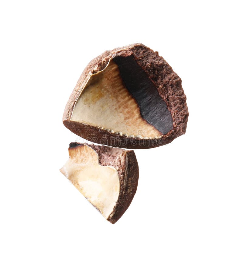 Macadamia Nut Shell on White Background Stock Photo - Image of cracked ...