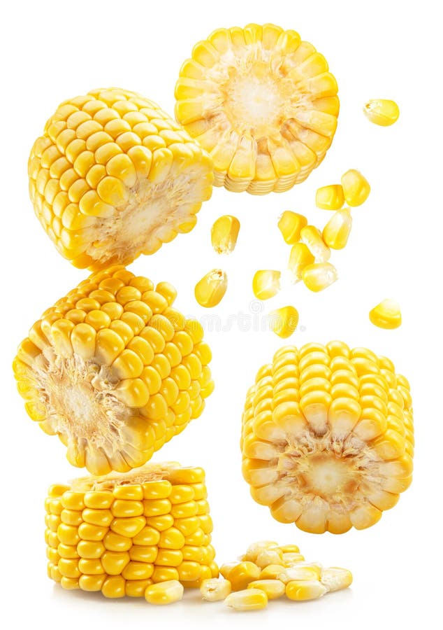 Piece of Maize Cob or Corn Cob and Corn Seeds Isolated on White ...