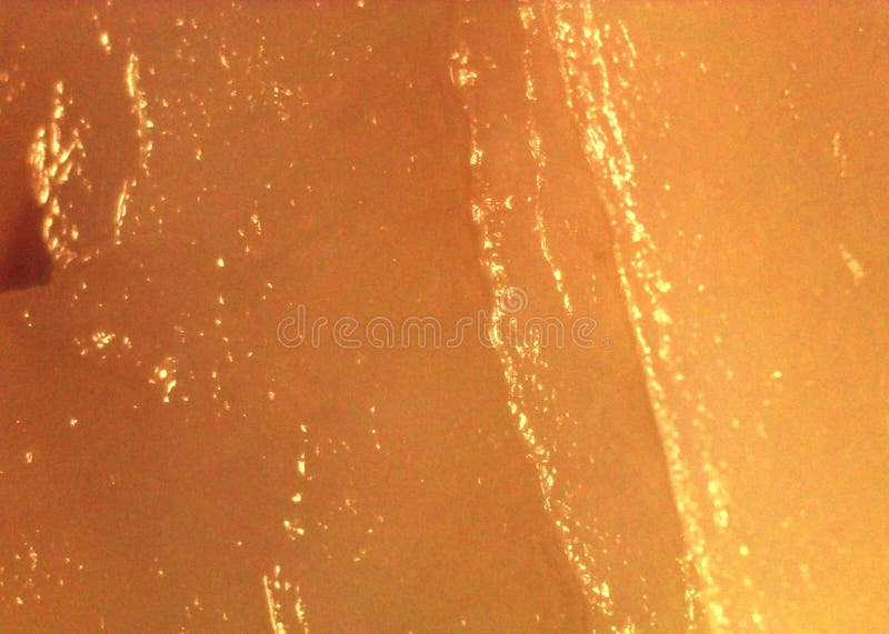 A Piece of Meat in Detail. Image Under the Microscope, Micro ...