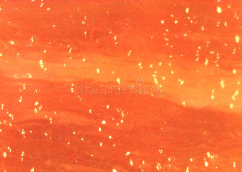 A Piece of Meat in Detail. Image Under the Microscope, Micro ...