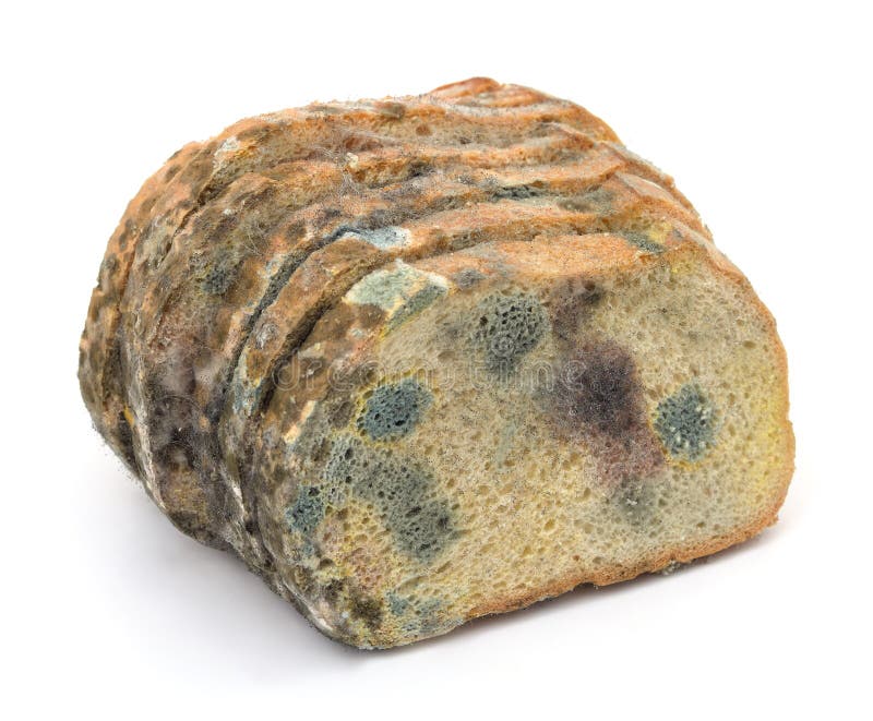 Piece of moldy bread stock photo. Image of illness, moldy - 247389340