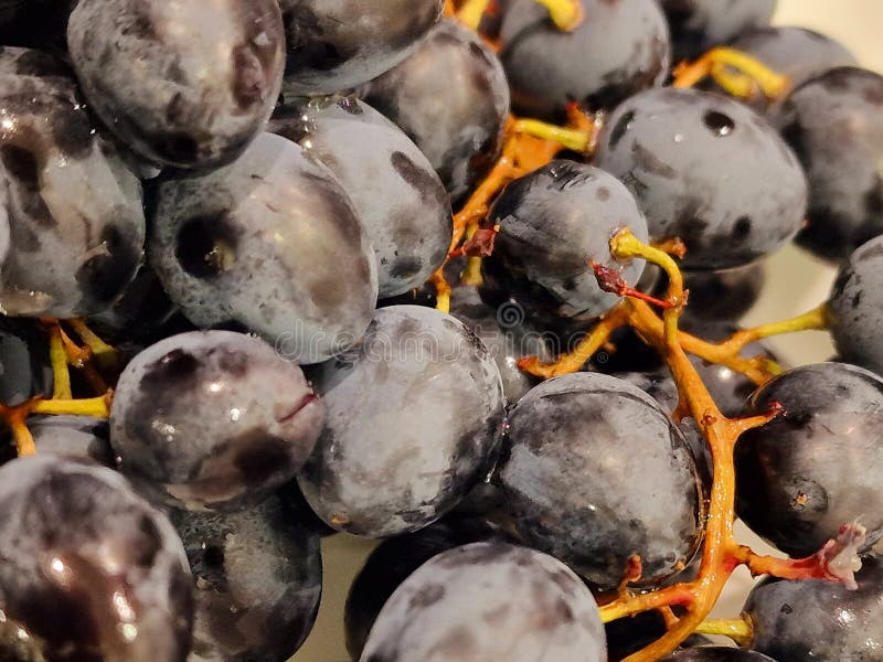 Piece of Music for Playing the Piano, Classical Music Stock Image ...