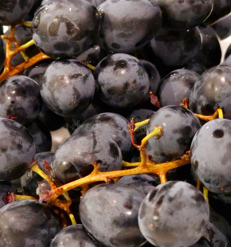 Piece of Music for Playing the Piano, Classical Music Stock Photo ...