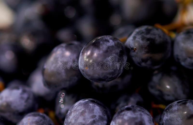 Piece of Music for Playing the Piano, Classical Music Stock Photo ...