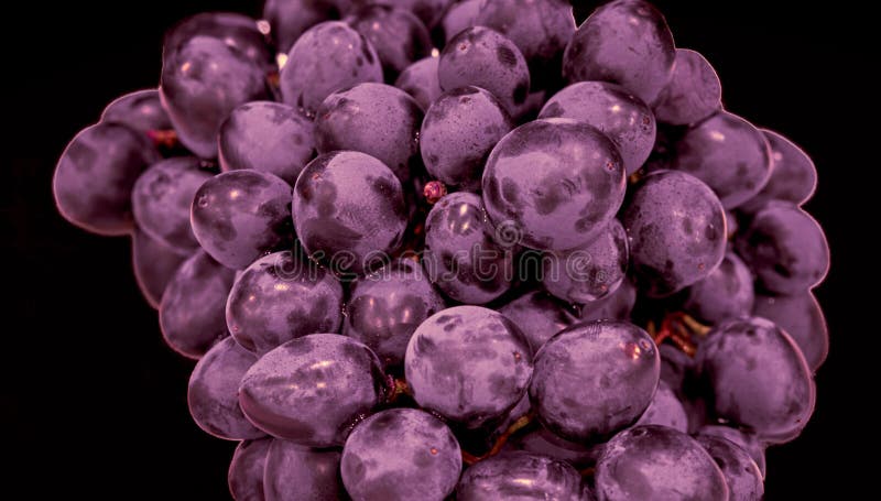 Piece of Music for Playing the Piano, Classical Music Stock Photo ...