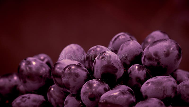 Piece of Music for Playing the Piano, Classical Music Stock Photo ...