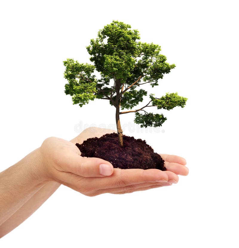 Piece of nature stock photo. Image of hand, inspiration - 95141306